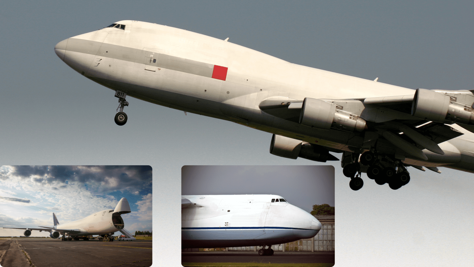 Cargo Charter Aircraft Charter Solutions Safe Fly Aviation